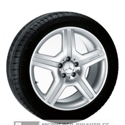 CL-Class-216 | Мерцедес Джанти